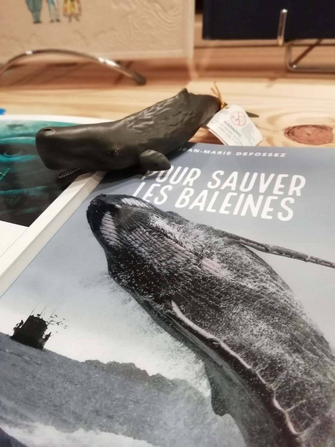 Une table thématique dédiée aux baleines, nos grandes amies - Librairie ...